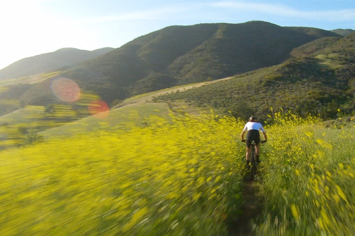 Safa Brian: This Is Heaven – Hammerhead AU